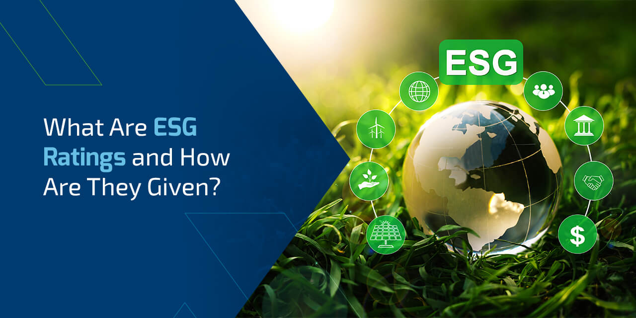 ESG Rating Systems | Definition, Guidelines & Examples