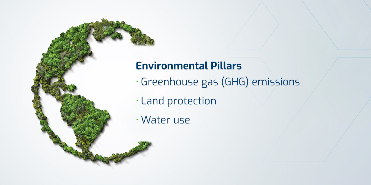 ESG Environmental Criteria Explained | TRC