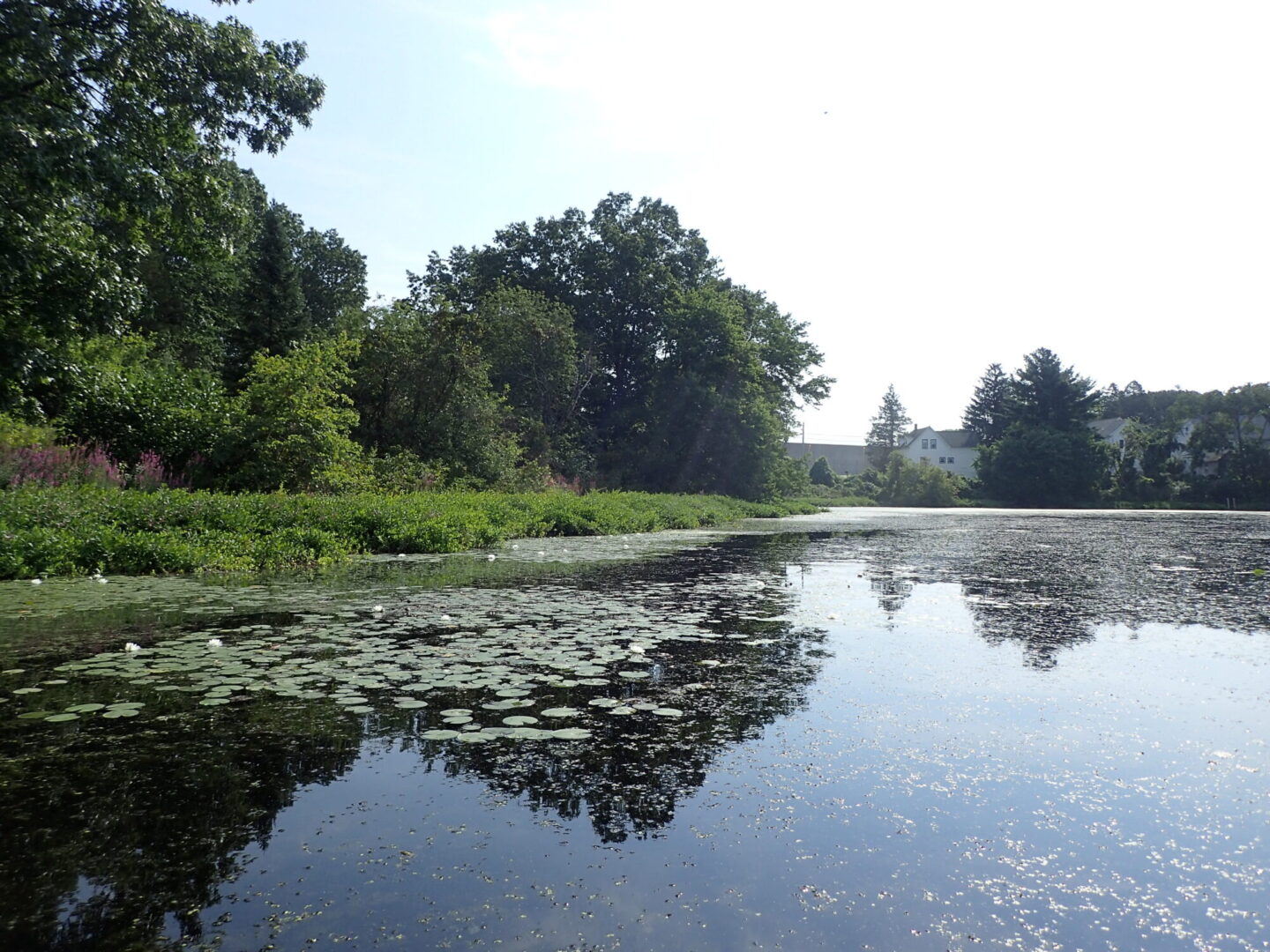 Lakes, Ponds and Rivers | TRC | Industries & Services TRC