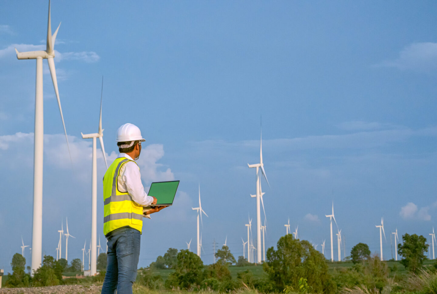 Environmental Site Assessments for Forest and Rural Properties | TRC